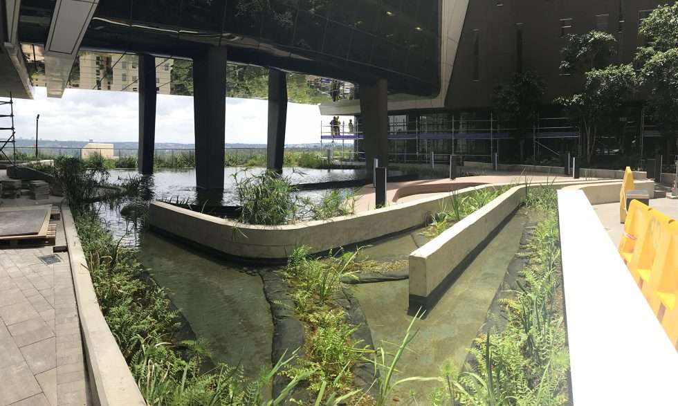 Alice Lane Precinct • Water Features • Waterscapes